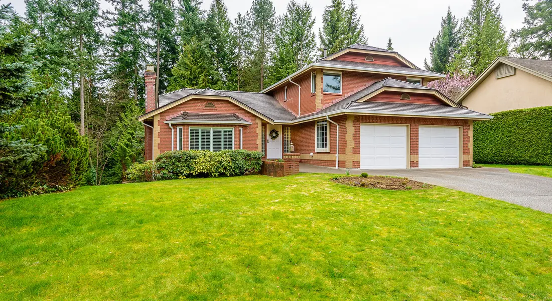 elysian fields vineyard